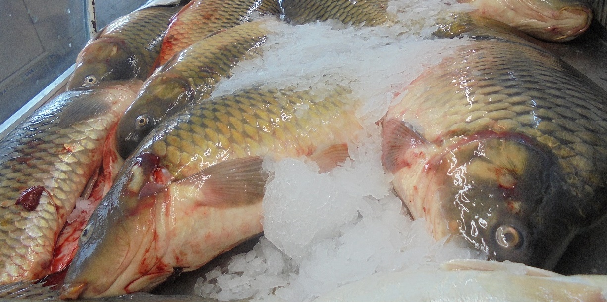 Obiceiuri alimentare: românii preferă macroul, crapul și heringul ...