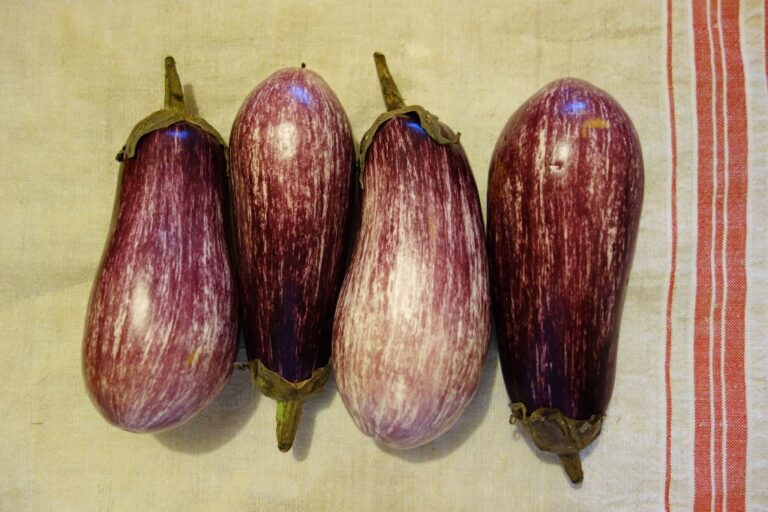 Știai că vinetele sunt, de fapt, fructe? / Sunt bogate în nutritenți ...