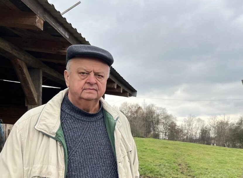 Rasa de porc românească „Bazna” | Crescător de porci: „S-a format în ...