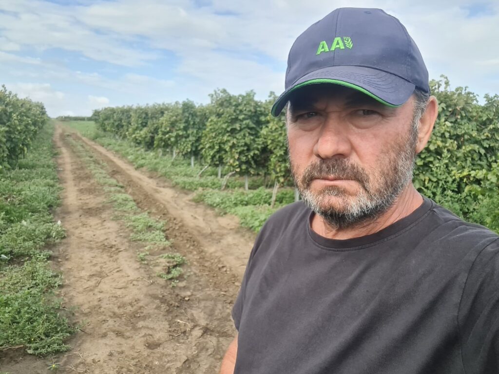 Soluții eficiente pentru protecția în vară a viței de vie