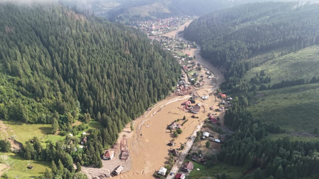 DSVSA Suceava a demarat acţiuni coordonate de dezinfecţie, dezinsecţie ...